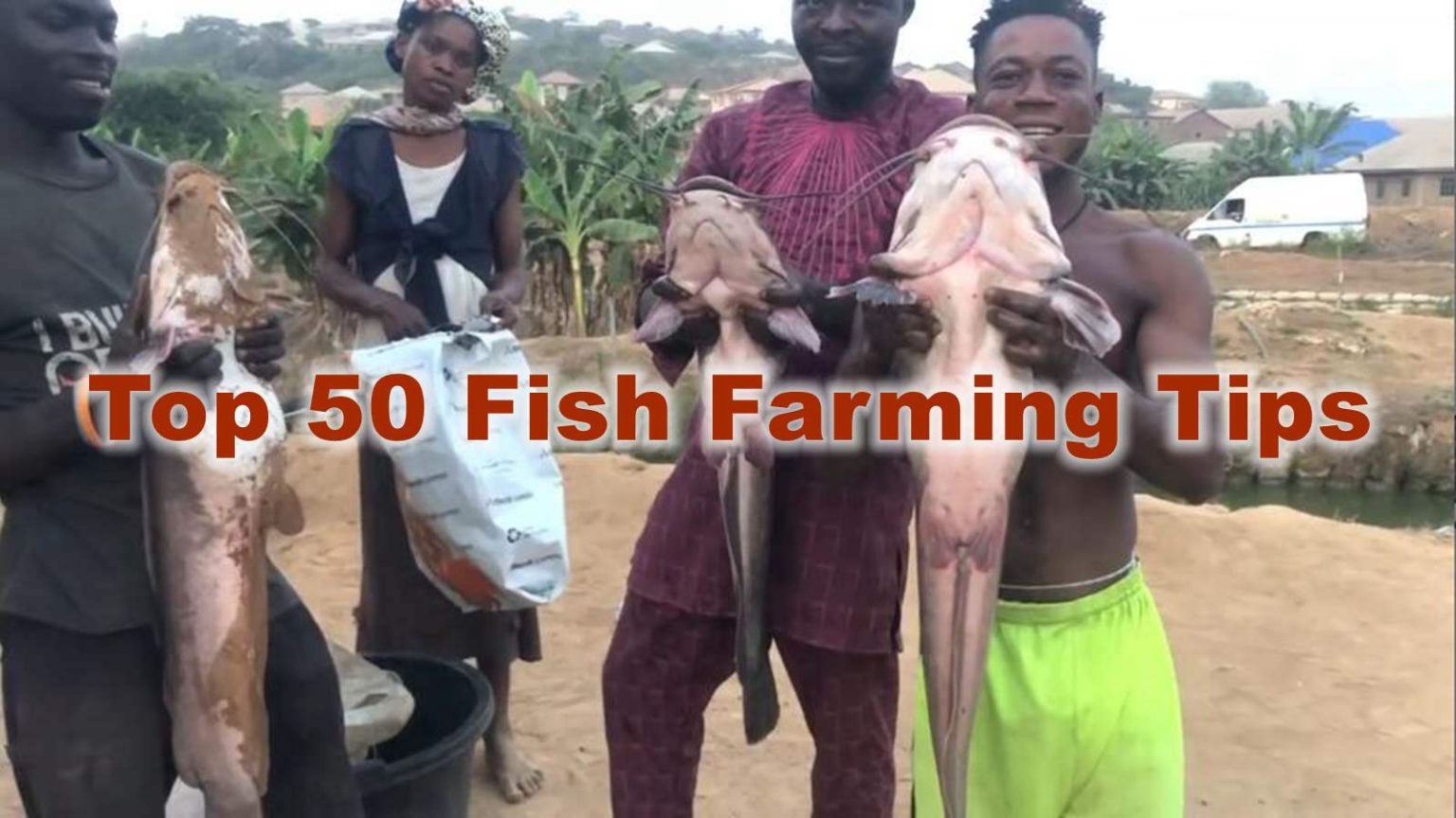 The Most Complete Guide to Fish Farming - Lima Feed Pelletizer